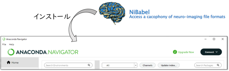 PythonでMRI/CT/PETなどの医用画像を扱うことができるNiBabelの導入方法と使い方 - 小倉の自由研究